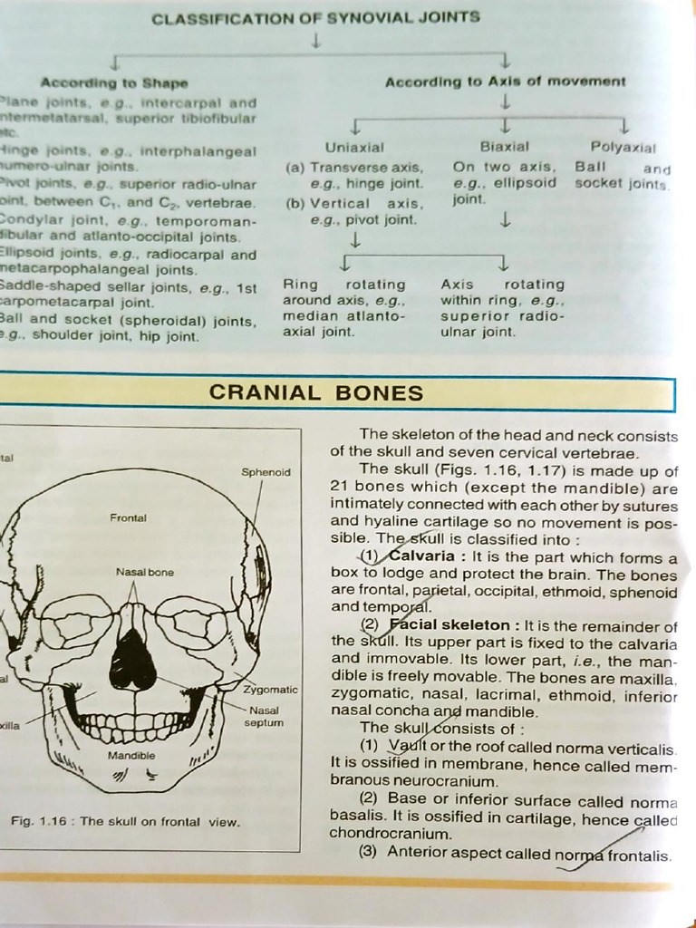 2024 - 06 - 10 1 - 20 PM Office Lens | PDF
