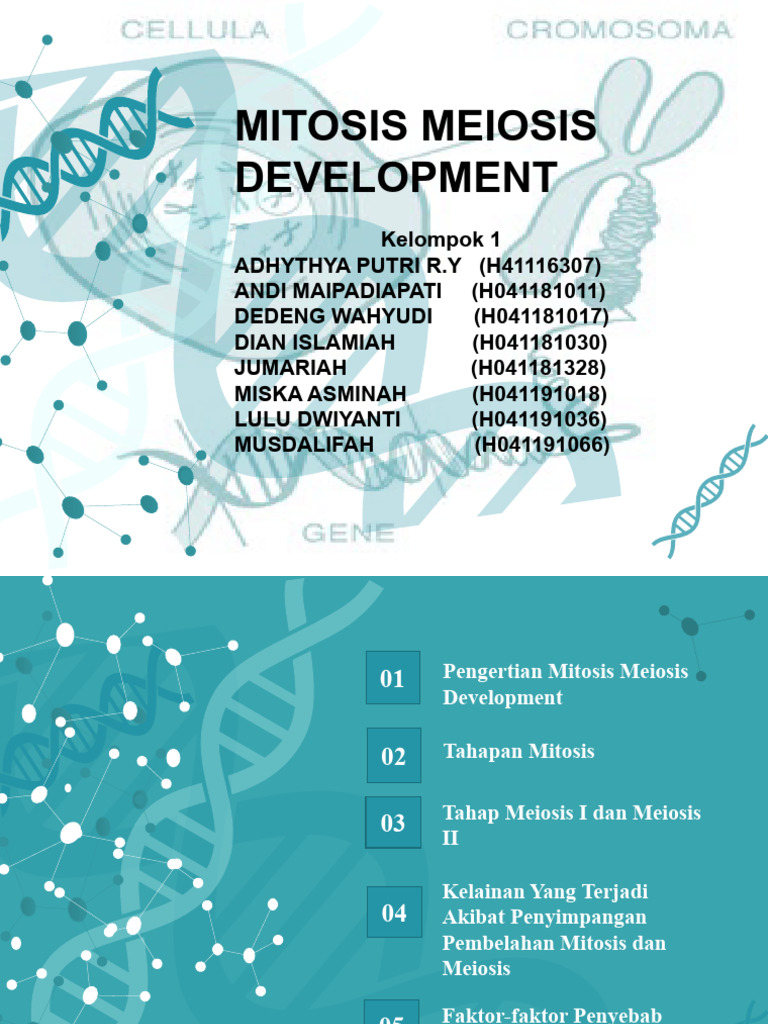 Mitosis Meiosis Development | PDF | Sains & Matematika