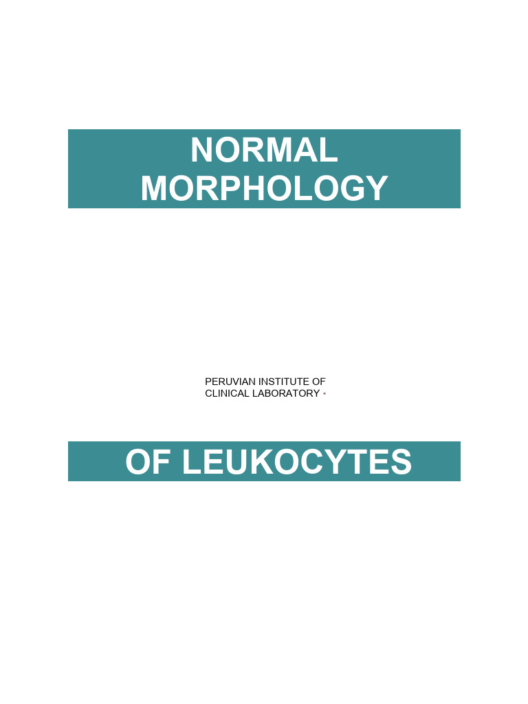Normal Leukocyte Morphology | PDF | White Blood Cell | Blood