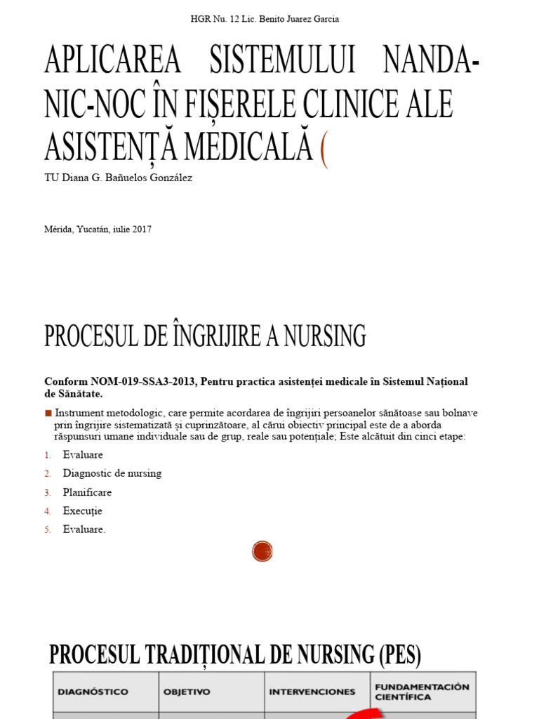 Nanda Nic Noc În The Nursing Sheet | PDF
