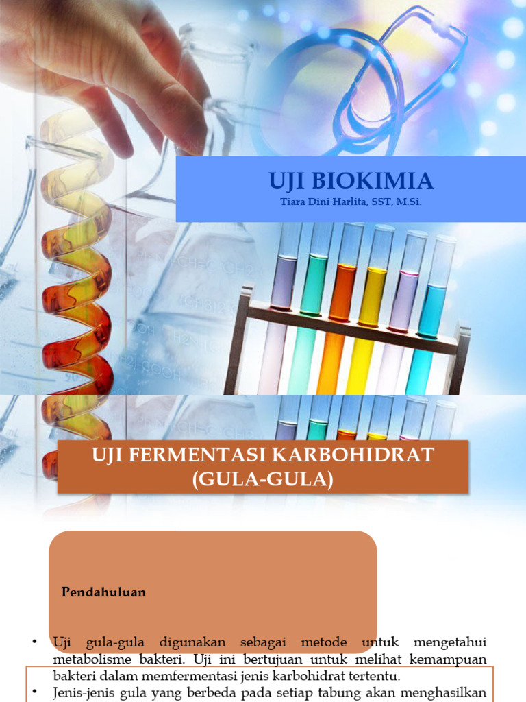 Bakteriologi 1 - Uji Biokimia - 2021 | PDF | Sains & Matematika