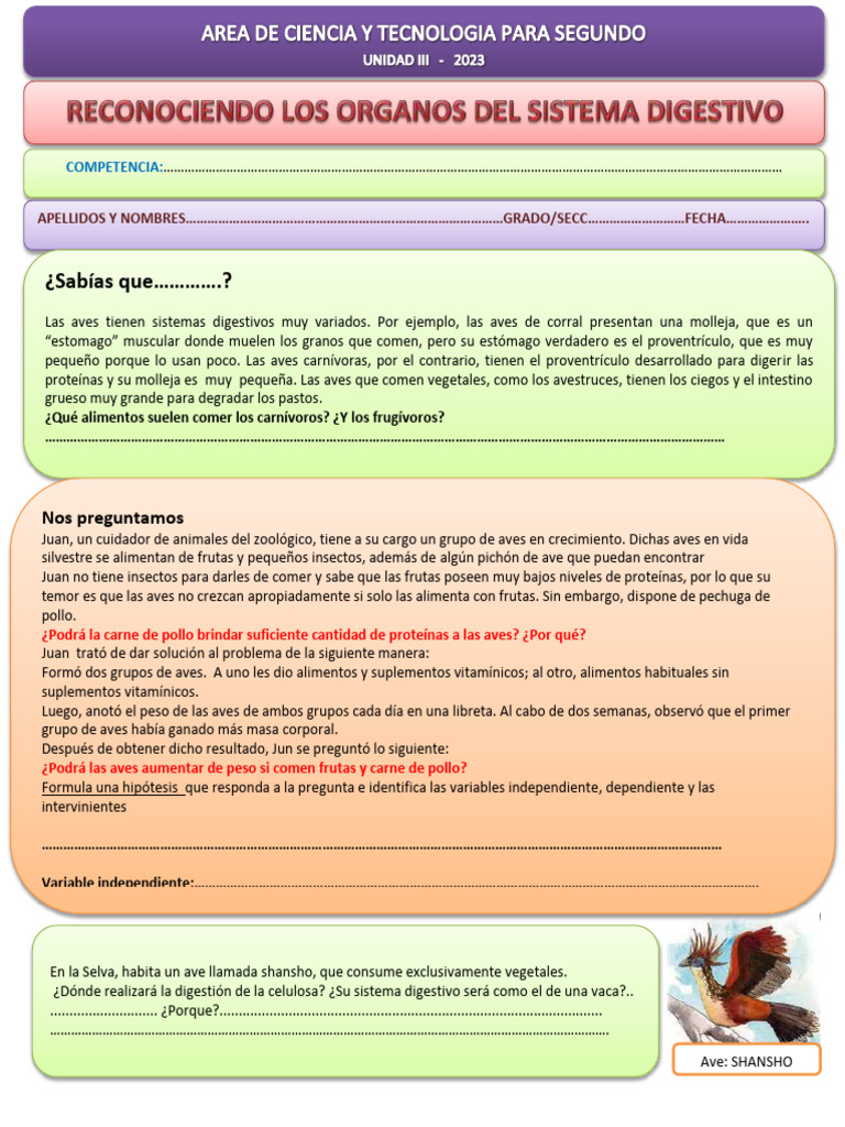 Ficha 01 El Sistema Digestivo y Su Diferencia Entre El Hombre y Los Animales | PDF | Digestión ...