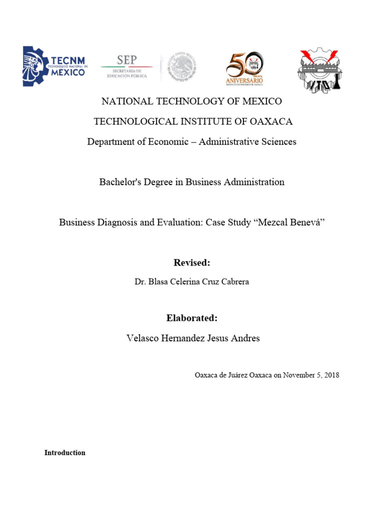 Mezcal Beneva Case Study | PDF | Audit | Internal Audit