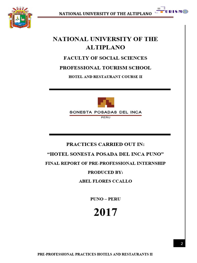 Hotel Practice Plan Report | PDF | Tourism | Investing