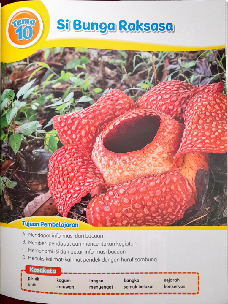 Tema 10 - Si Bunga Raksasa | PDF