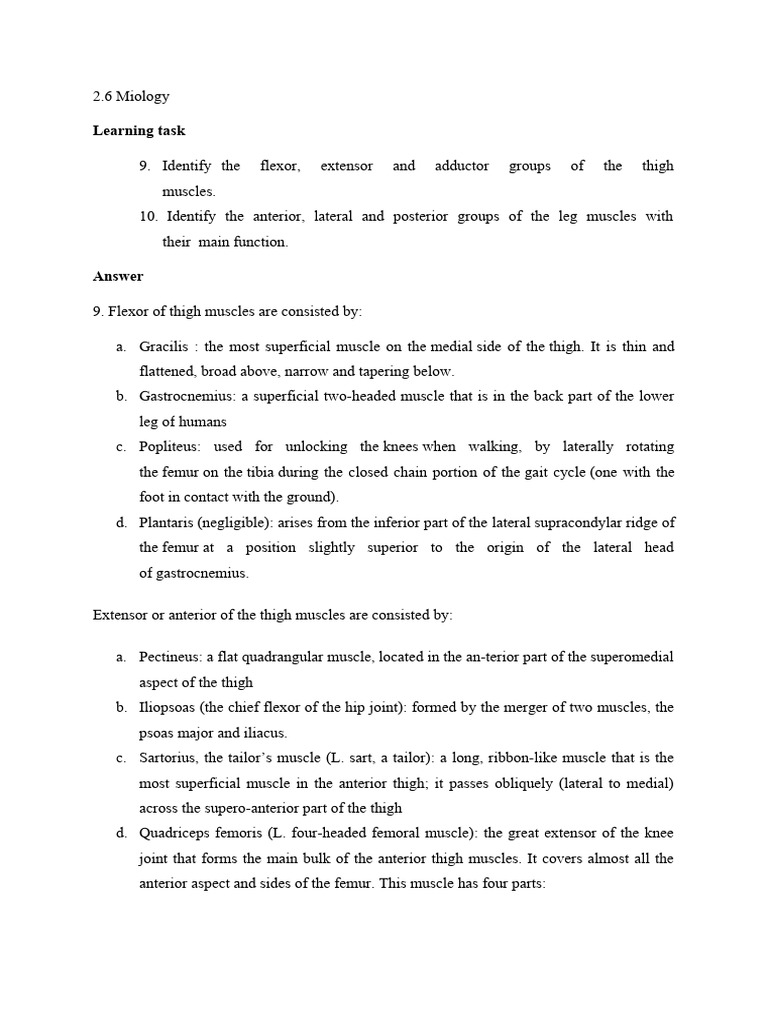 Miology | PDF | Foot | Human Leg