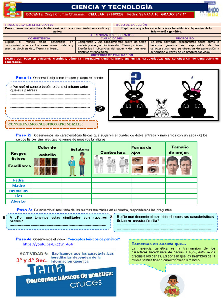 SEC 3 4 Cy T SEMANA 16 PDF Herencia Gene