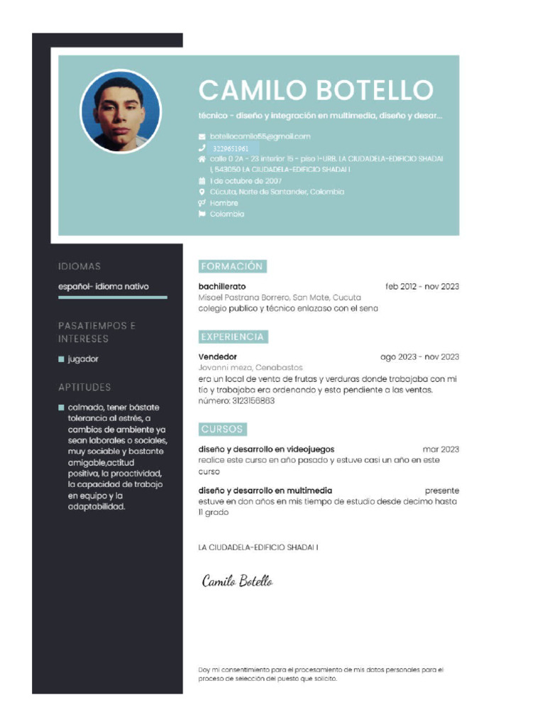 Hoja de Vida Camilo Botello | PDF