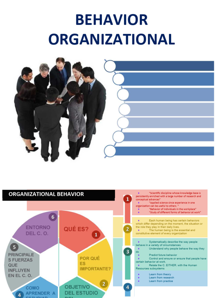 Organizational Behavior | PDF | Organizational Behavior | System