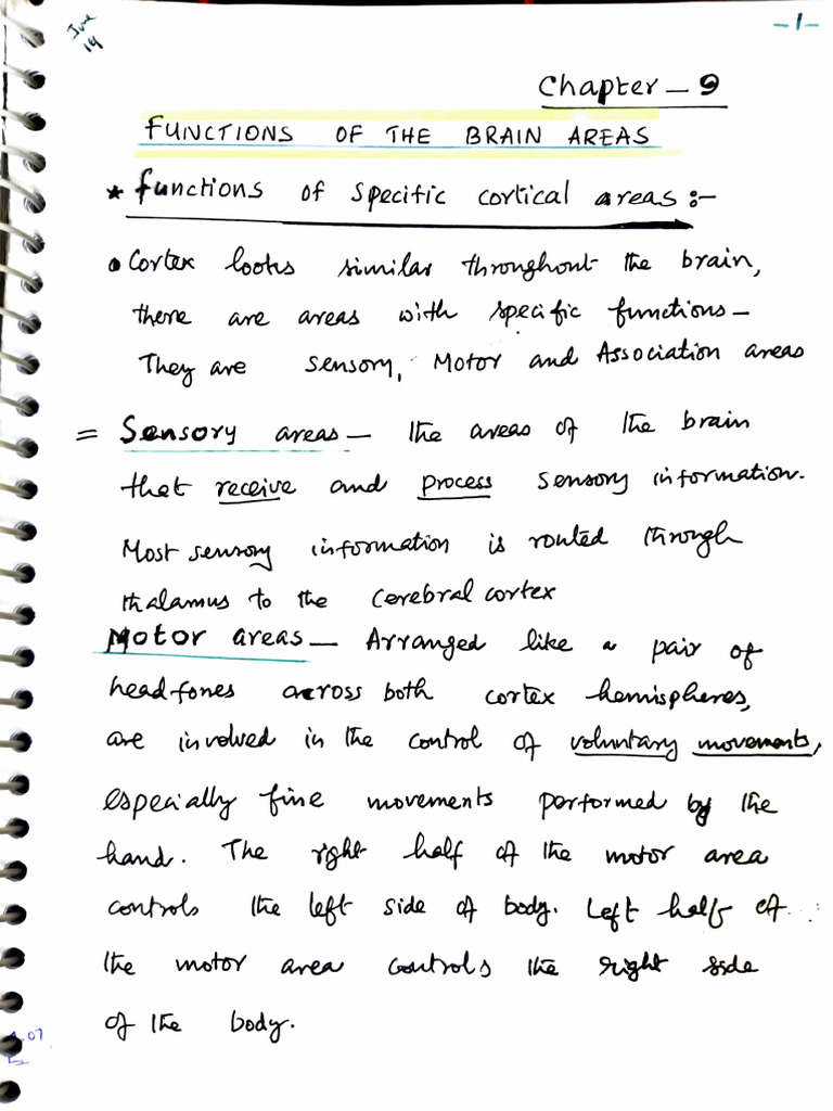 Chapter 9 | PDF | Cerebral Cortex | Aphasia