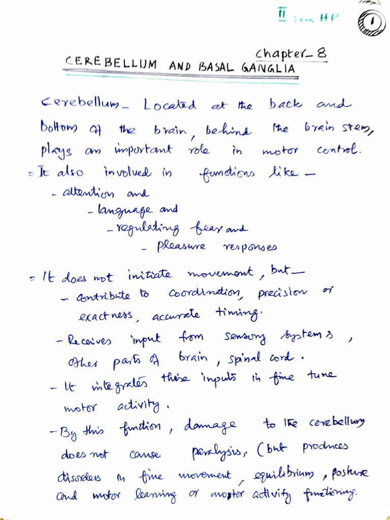 Cerebellum and Basal Ganglia Functions | PDF