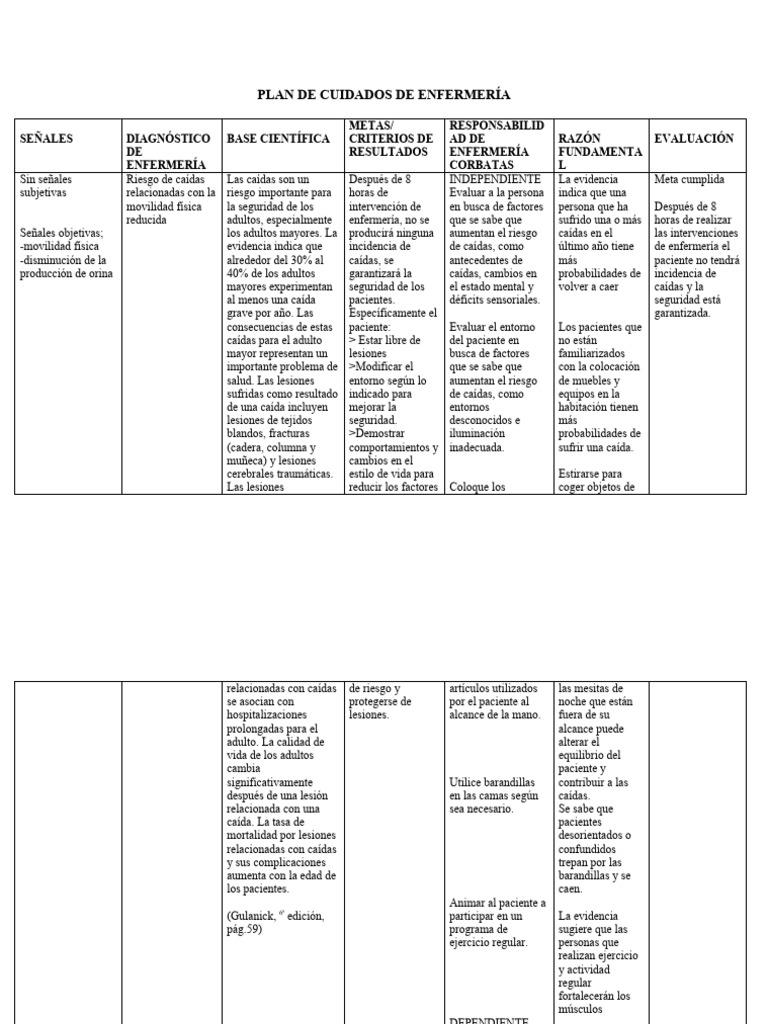 Plan de Cuidados de Enfermería | PDF | Enfermería | Enfermedades y trastornos