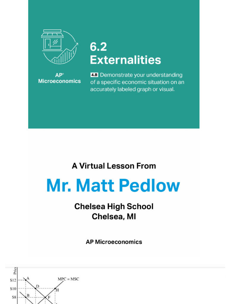 Negative Externalities | PDF | Business | Social Science