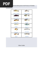 Kentucky Fish Species Guide | PDF | Fish | Aquatic Animals
