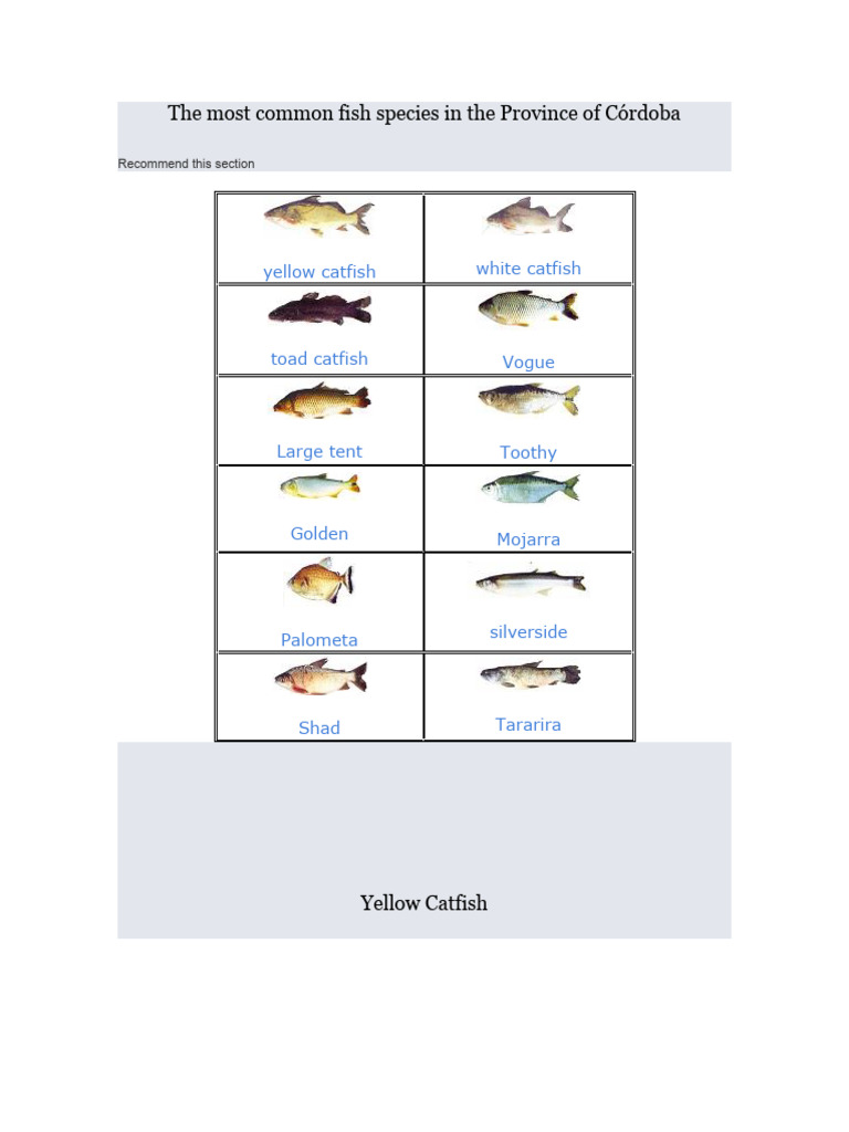 The Most Common Fish Species in The Province of Córdoba | PDF | Fish ...