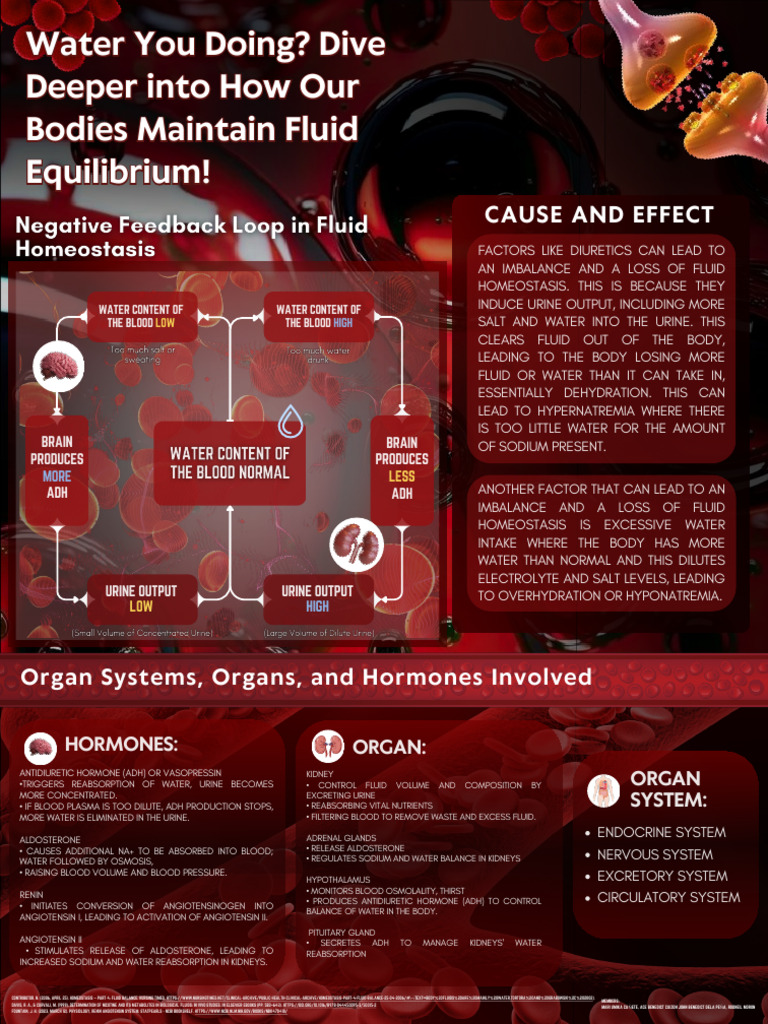 Group 10 - Fluid Homeostasis Infographic (18 X 24 In) | PDF ...