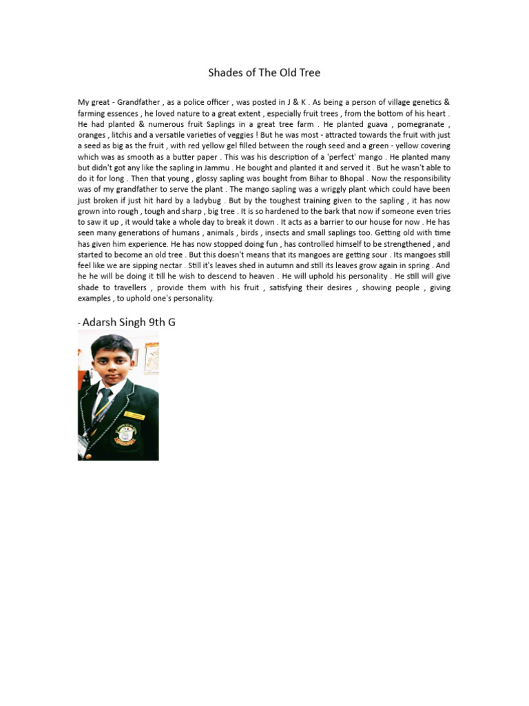 The Legacy of a Mango Tree | PDF