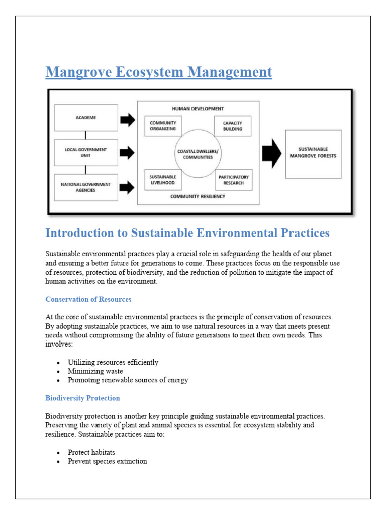 Mangrove Ecosystem Management | PDF | Mangrove | Sustainability