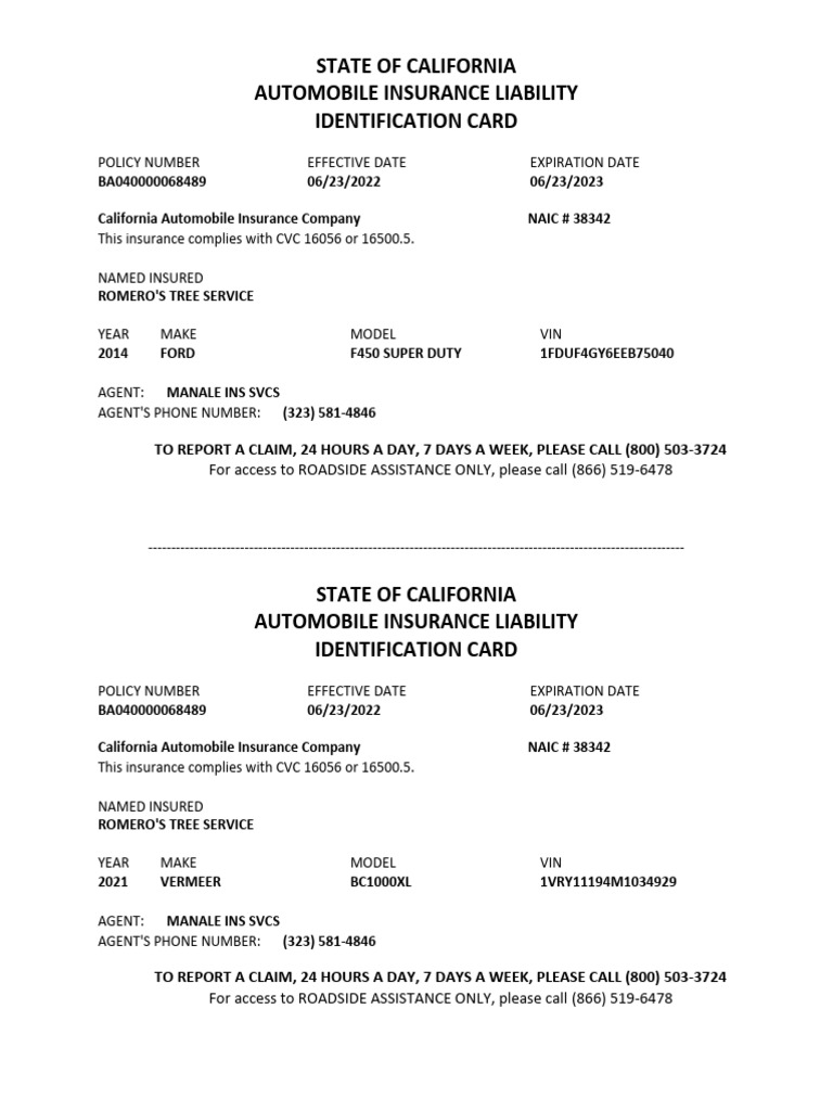 ID Card | Download Free PDF | Vehicle Insurance | Insurance