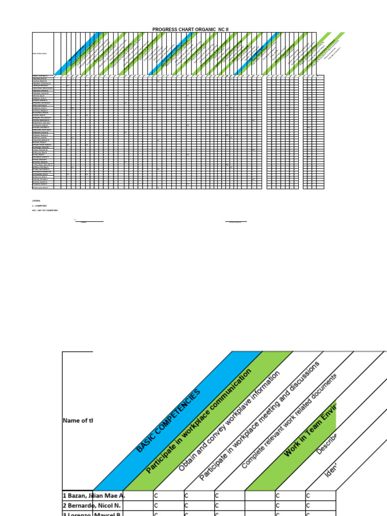Organic Ncii Achievement Progress Chart | PDF