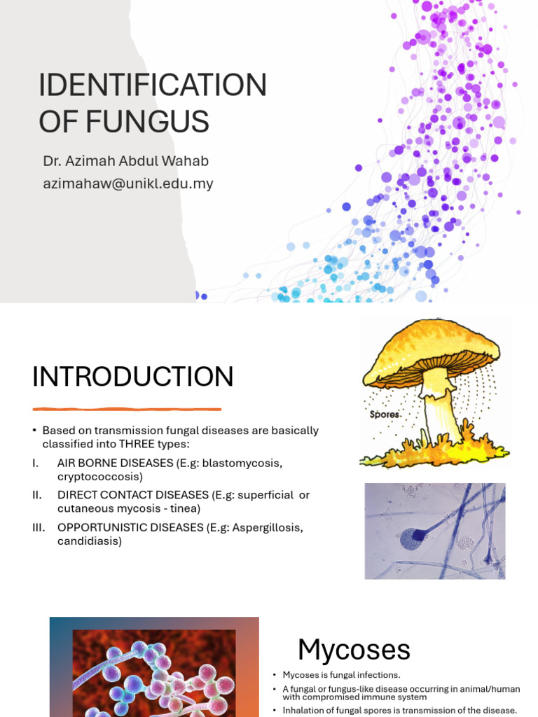 6-Identification of Fungus | PDF | Fungus | Aspergillus