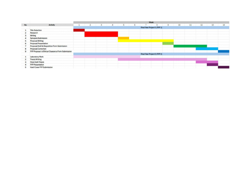 Gantt Chart | PDF