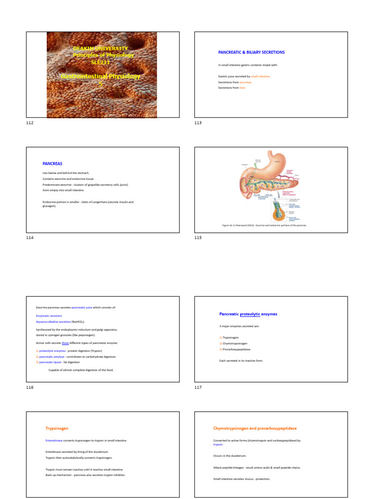 2024 Week 8 Lecture 2 - Gastrointestinal 5 - 4 Slides Per Page | PDF ...