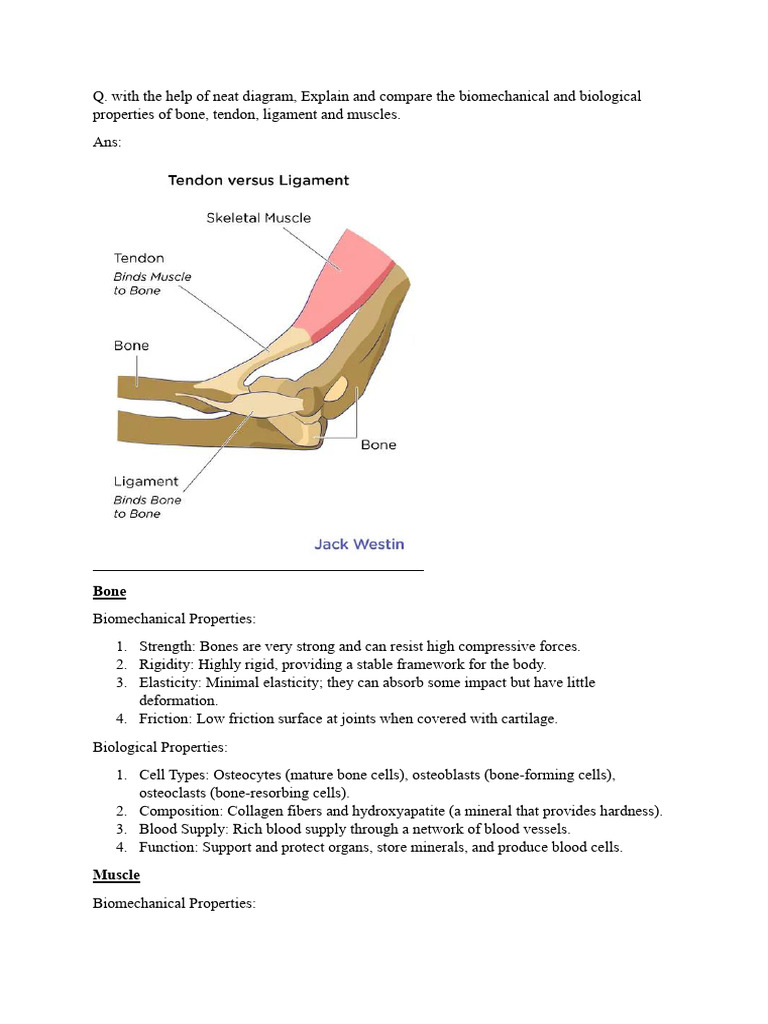 Biological and Biomecchnaical Properties of Bone, Ligaments, Tendons ...
