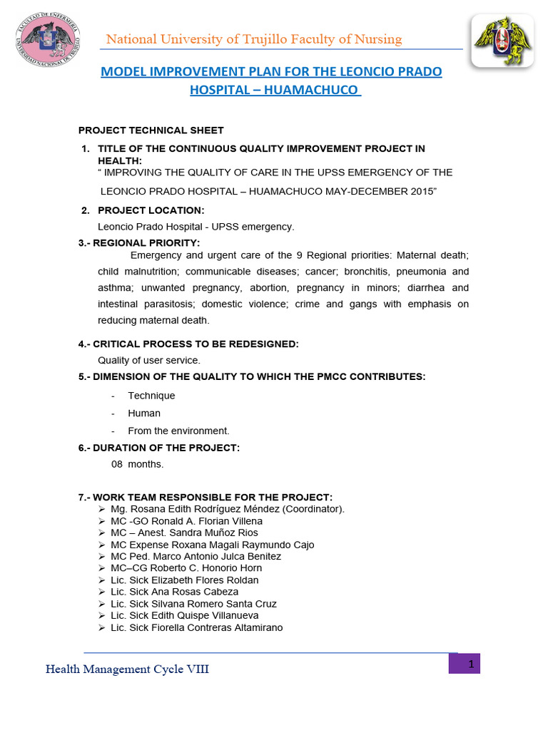Improvement Project | PDF | Respiratory Diseases | Medicine