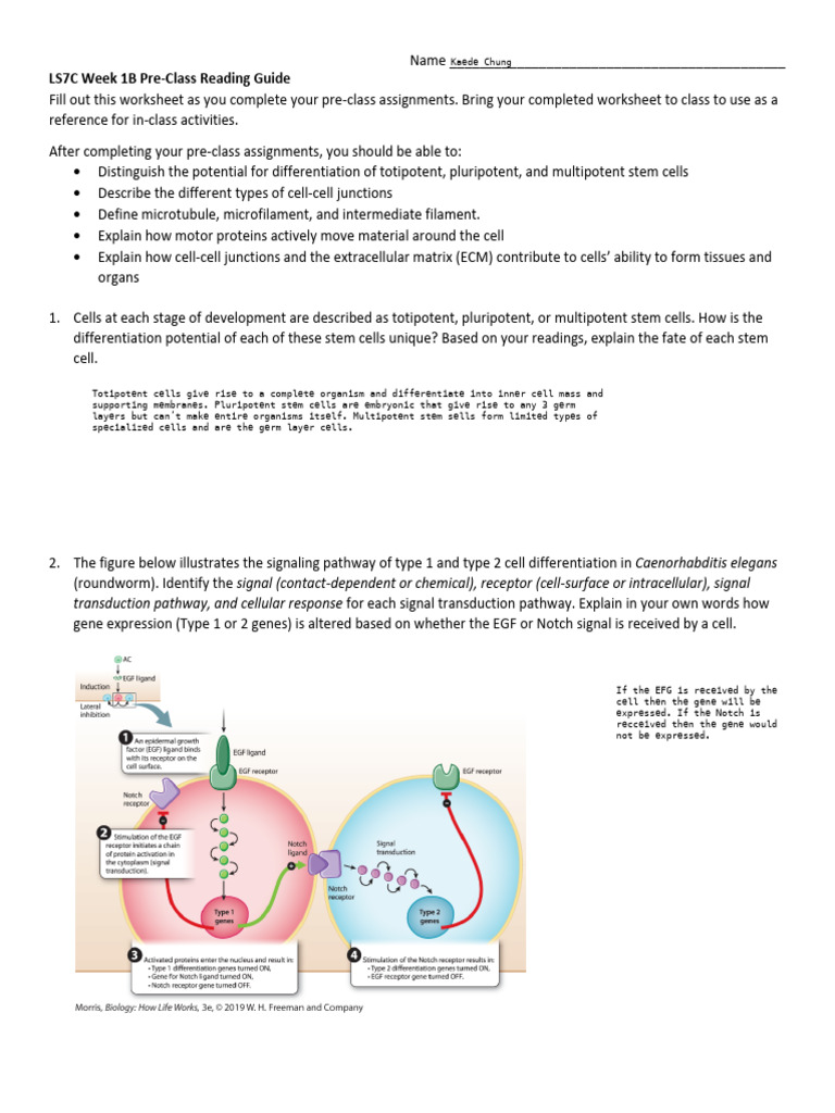 LS7C Week 1B Pre-Class Reading Guide | PDF | Cytoskeleton | Microtubule LS7C Week 1B Pre-Class Reading Guide | PDF | Cytoskeleton | Microtubule