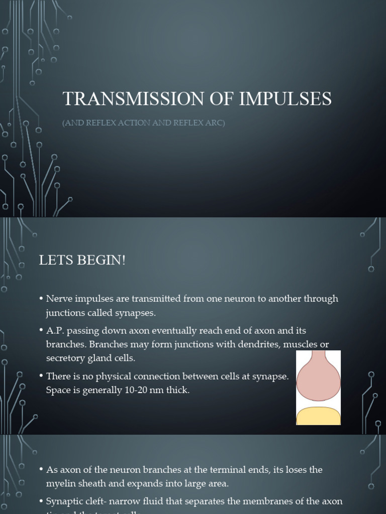 Transmission of Impulses | PDF | Chemical Synapse | Synapse