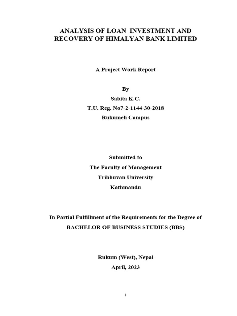 Sabita Thesis | PDF | Line Of Credit | Credit