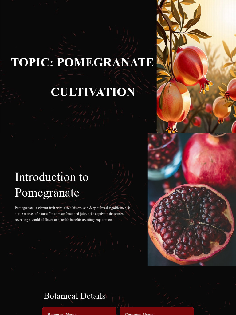 (Pomegranate Cultivation) Ppt. | PDF | Pomegranate | Fertilizer