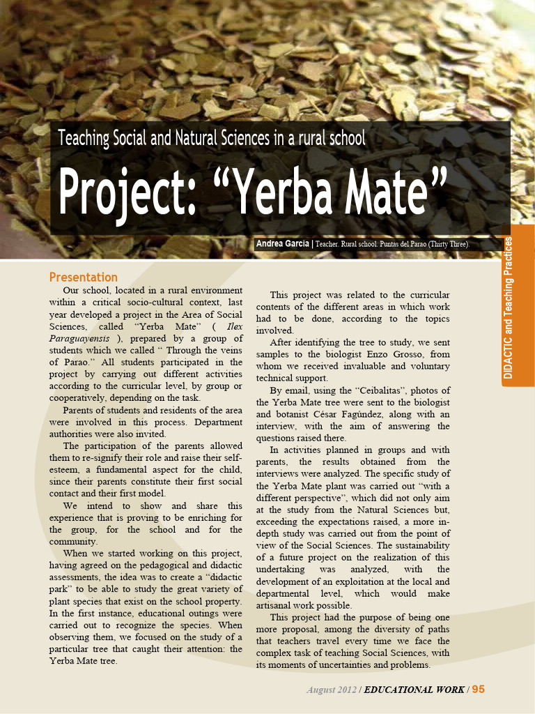 Yerba Mate Project | PDF | Information | Pedagogy