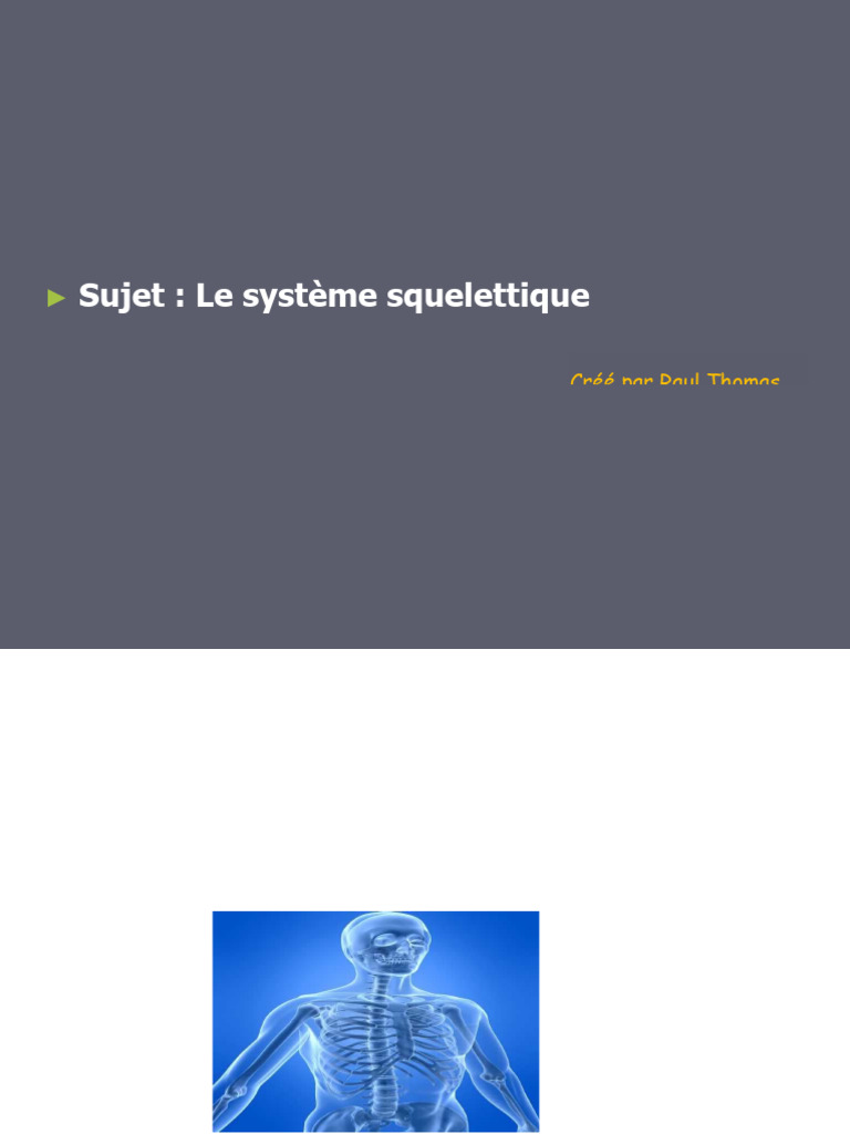 Fonctions du système squelettique | PDF | Os | Anatomie humaine