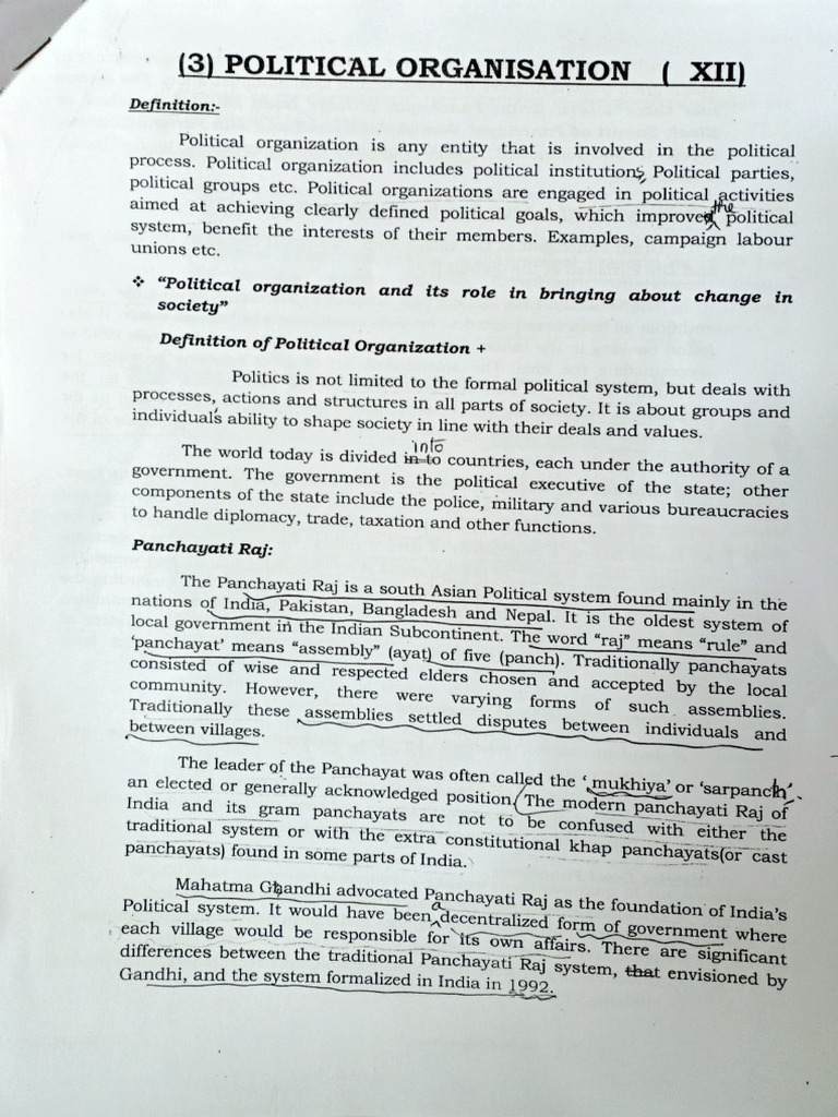 Understanding Political Organization and Panchayati Raj | PDF ...