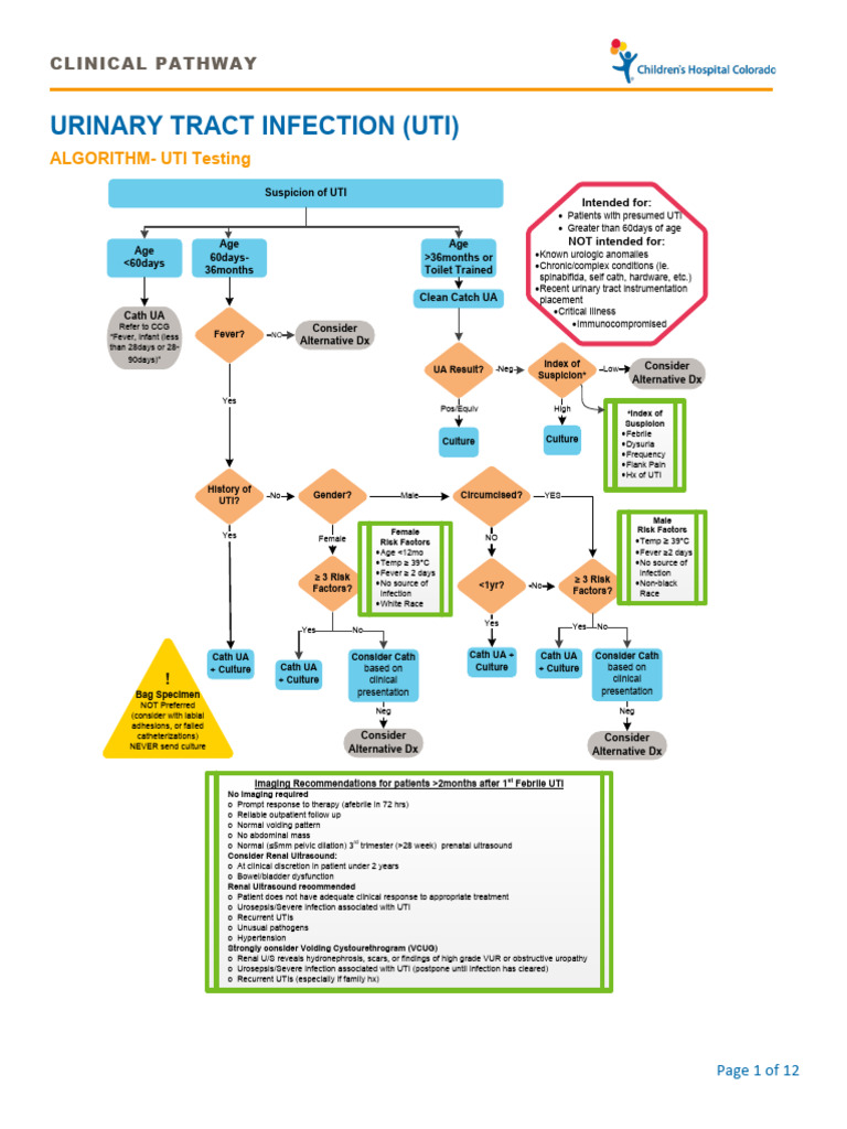 UTI Clinical Pathway and Management Guide | PDF | Urinary Tract ...