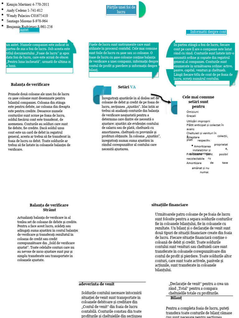 Fișa de Lucru Contabilitate - 1 | PDF