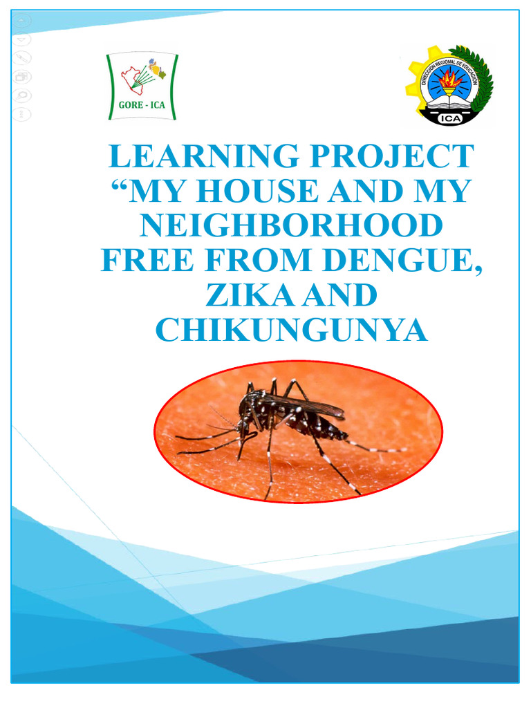 Initial Dengue Learning Project Ok | Download Free PDF | Zika Virus ...