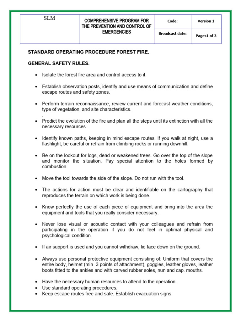 Set Forest Fire | PDF | Wildfire | Fires