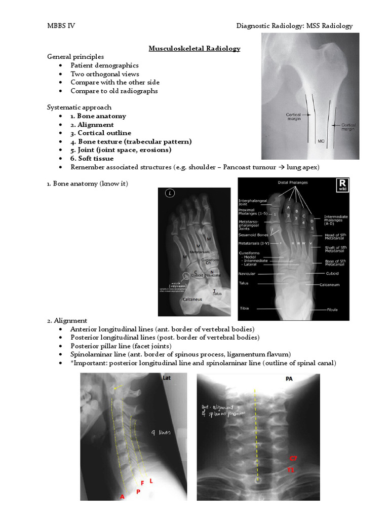 Diagnostic Radiology - Musculoskeletal Radiology | PDF | Vertebra | Pelvis