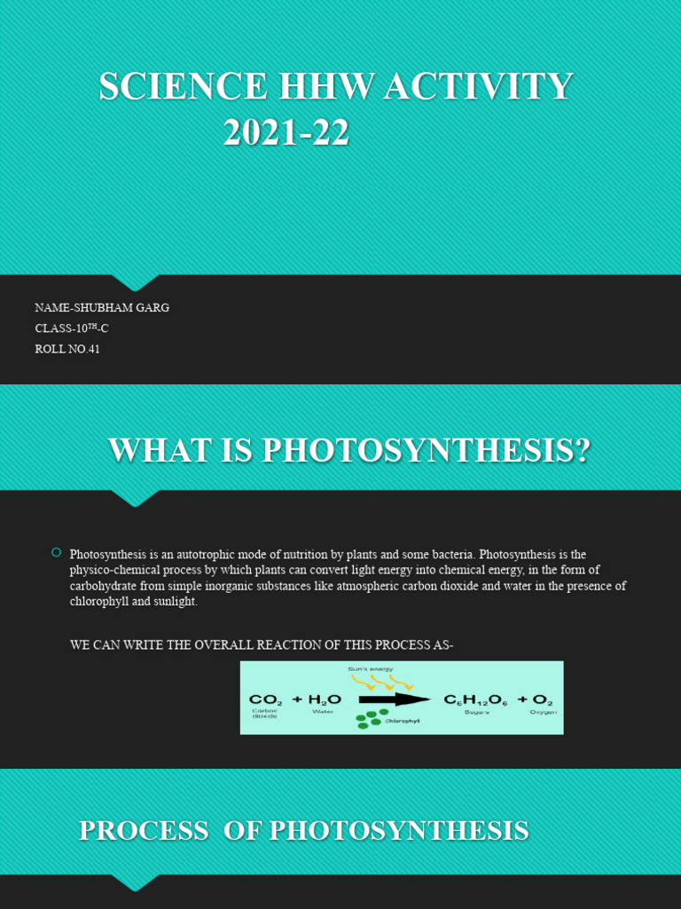 Science HHW Activity | PDF | Photosynthesis | Stoma