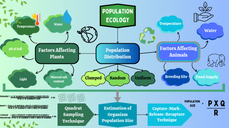 Population Ecology | PDF | Population | Natural Environment