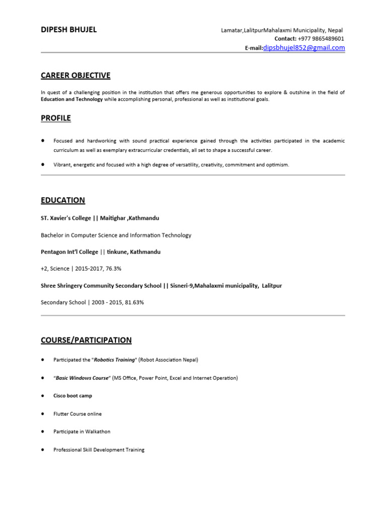 Updated Cv Pdf Mobile App Ios