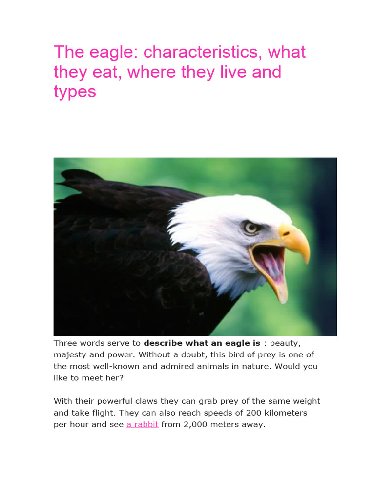 Agila From Nature | PDF | Eagle | Bald Eagle
