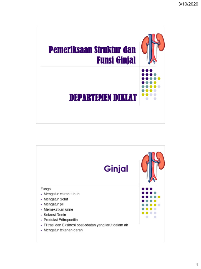 Pemeriksaan Fungsi Dan Struktur Ginjal | PDF