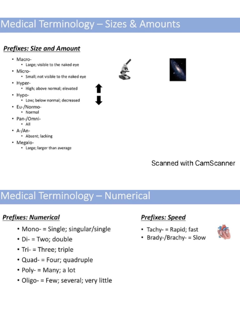 Medical Terminology Introduction | PDF
