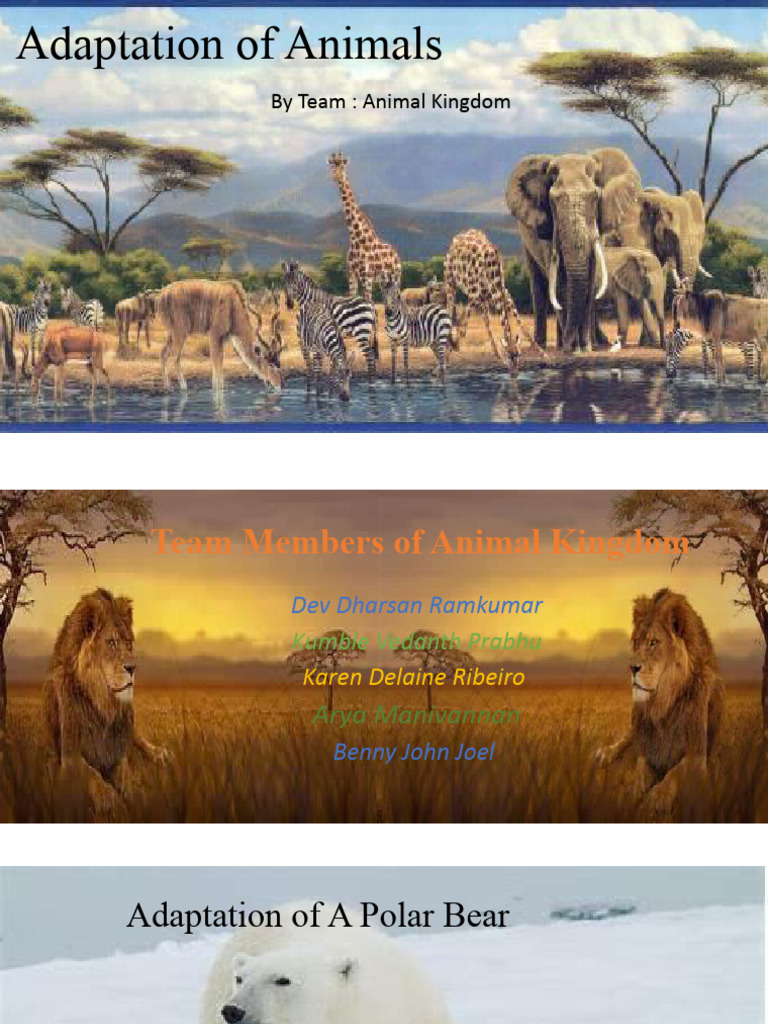 Adaptation of Animals | PDF | Cougar | Zebra