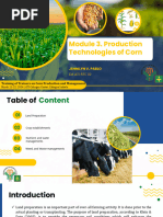 Corn Farming Guide for Farmers | PDF | Fertilizer | Maize