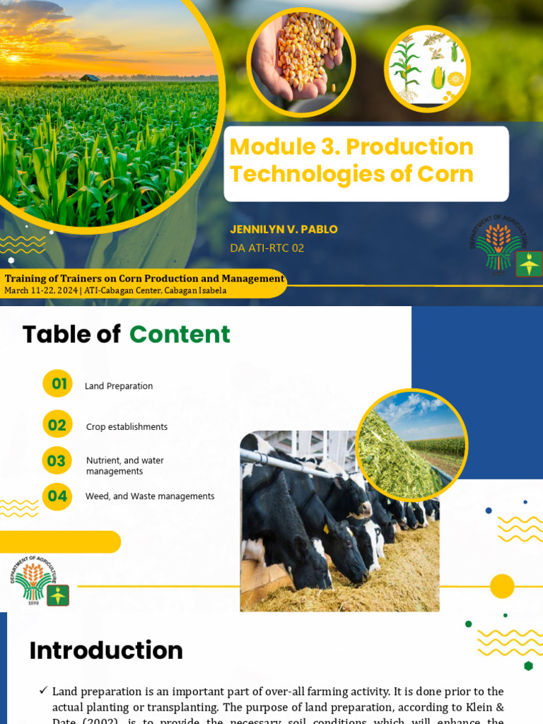 Corn Production Technologies of Corn | PDF | Tillage | Fertilizer